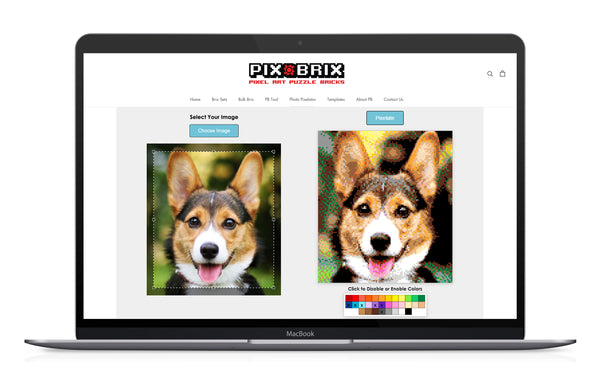 Use the Pix Brix Photo Pixelator To Unleash Your Creativity