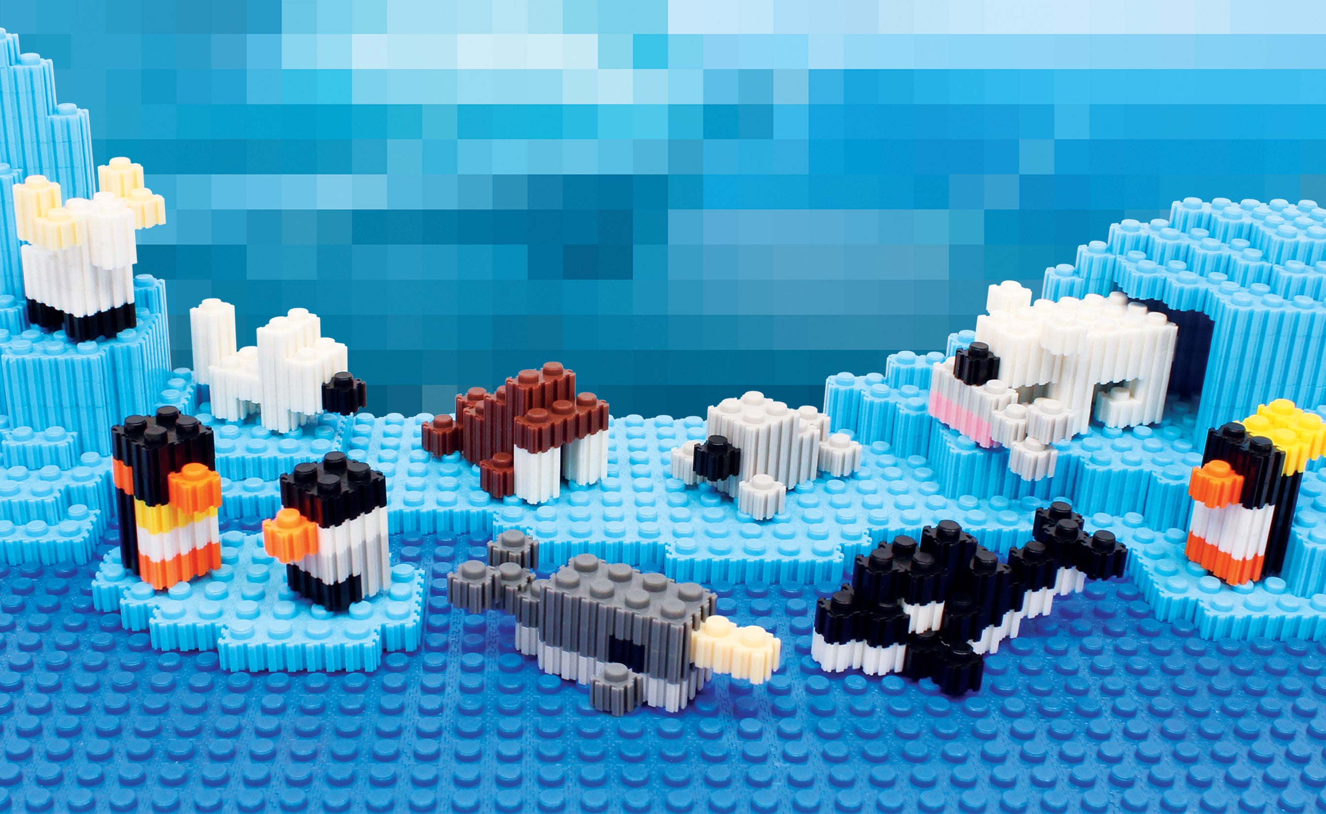 Arctic Box - Creative Animal Building Set